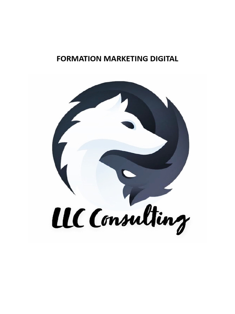 Formation Marketing Digital | PDF