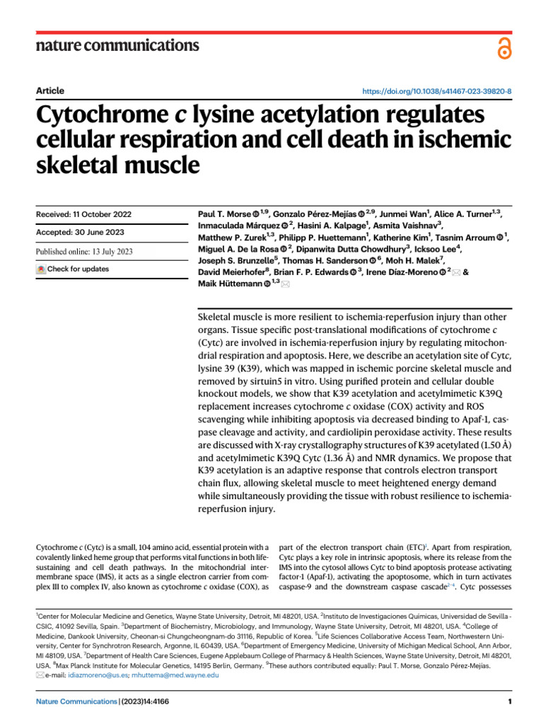s41467-023-39820-8 | PDF | Cytochrome C | Biochemistry