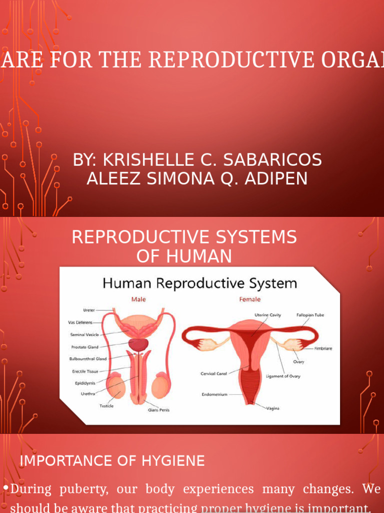 Care For The Reproductive Organ - Krishelle and Aleez | PDF ...