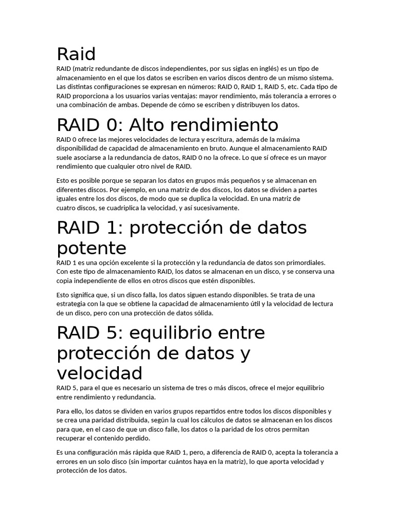 RAID | PDF | Informática | Ingeniería Informática