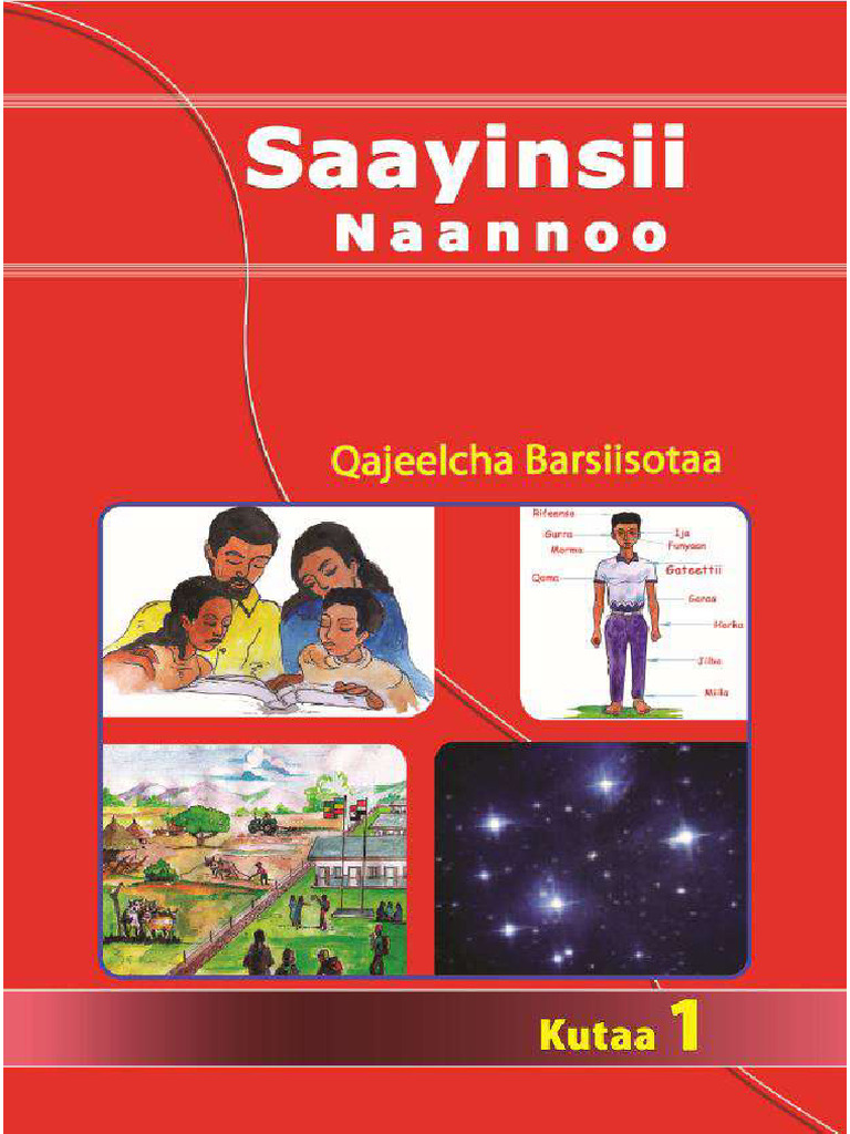 Saayinsii Naannoo Kutaa-1 | PDF