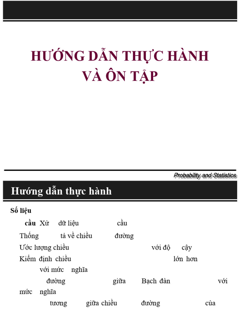 Huong Dan Thuc Hanh Va On Tap | PDF