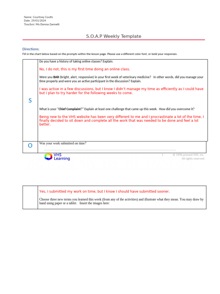 Medical Record | PDF