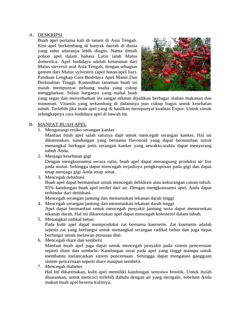 Budidaya Apel | PDF