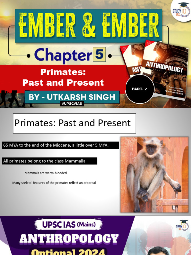 Ember | PDF | Ape | Catarrhini