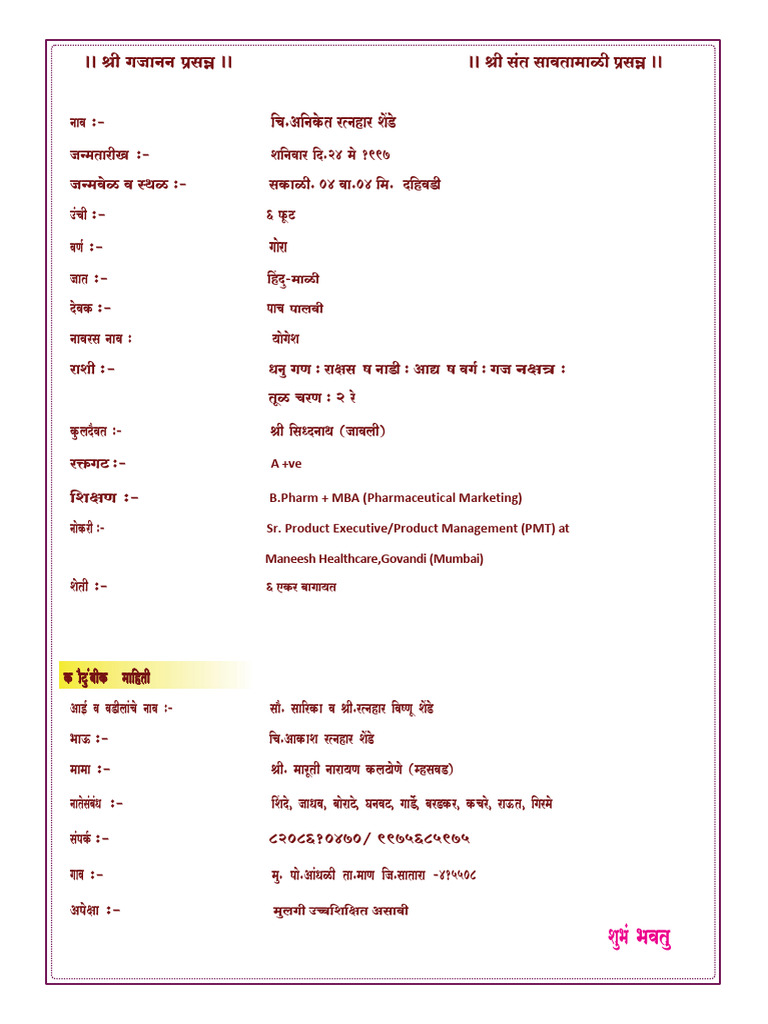 Aniket R Shende Biodata | PDF