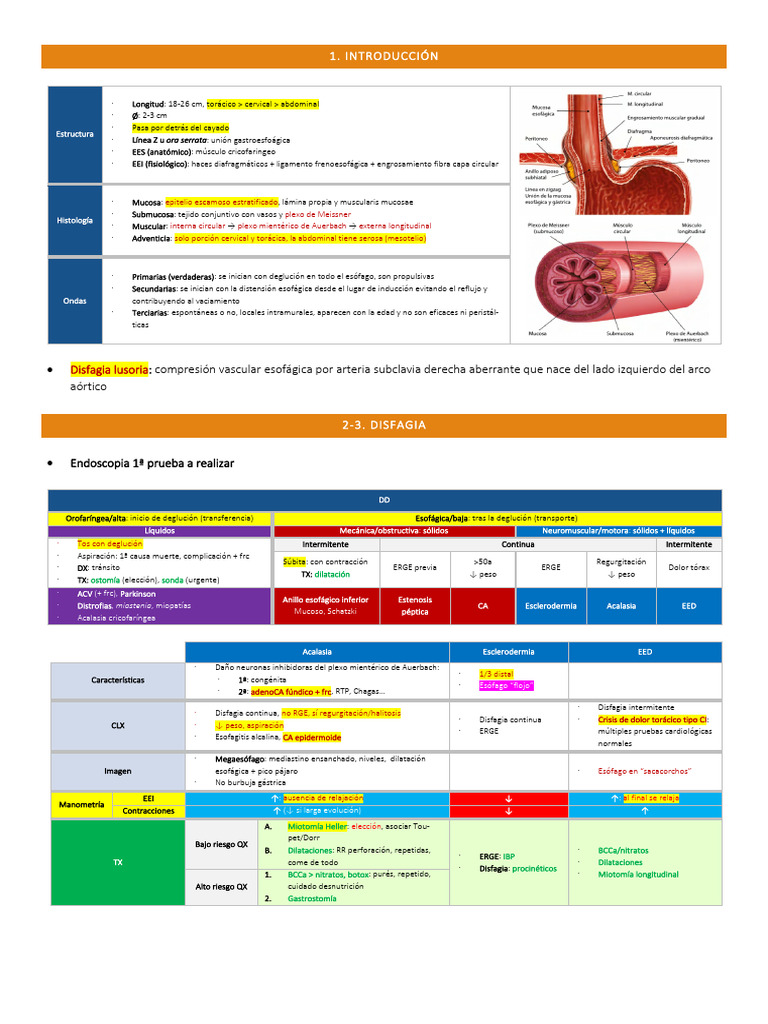 Disfagia | PDF | La enfermedad por reflujo gastroesofágico | Esófago