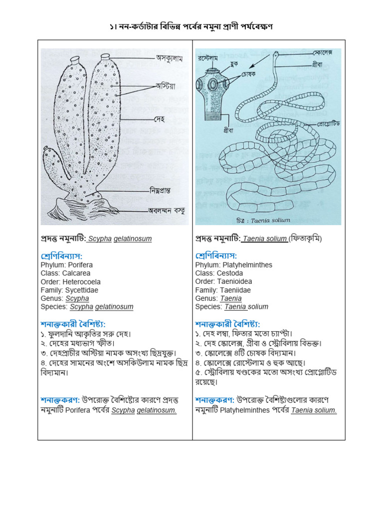 Practical-01 Test | PDF