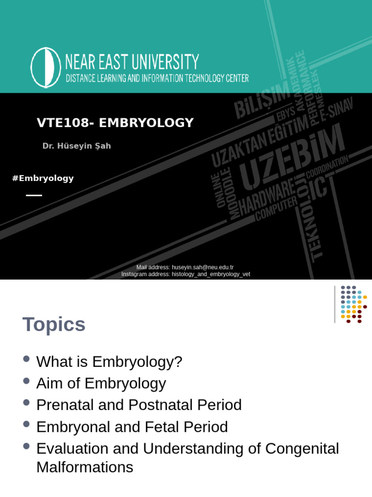 Embryology | PDF | Prenatal Development | Fetus