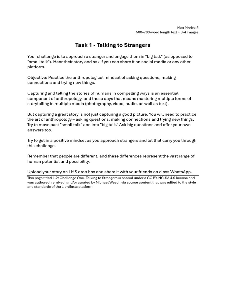 Task 1 - Talking To Strangers | PDF