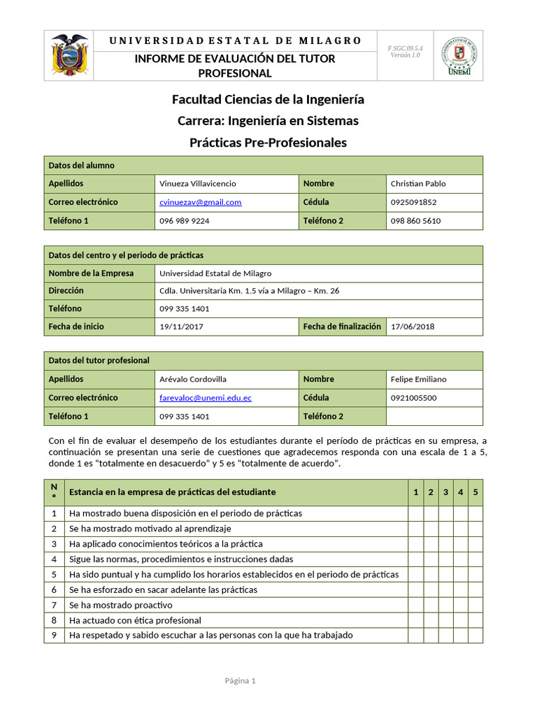 4 Informe Tutor Profesional | PDF | Aprendizaje | Cognición