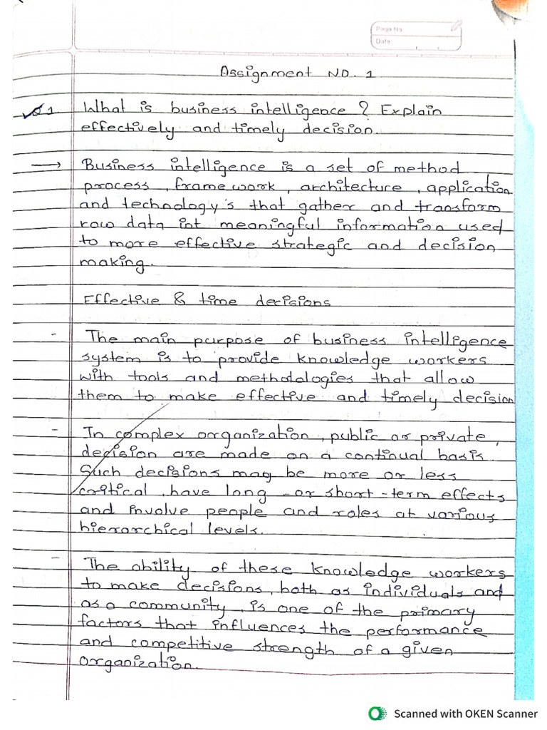 BI Assignment 1&2 | PDF