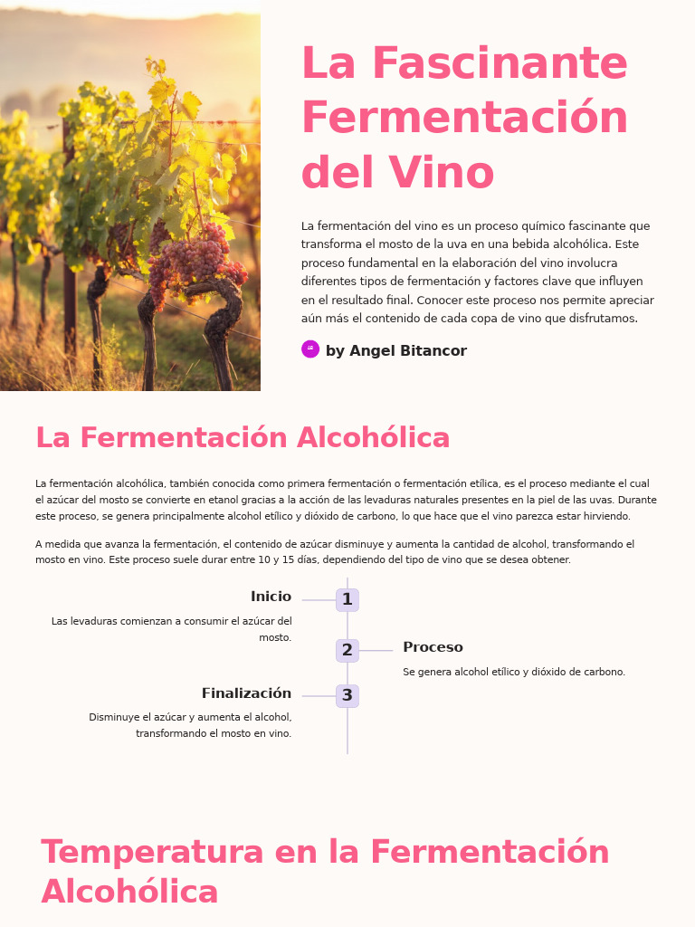 La Fascinante Fermentacion Del Vino | PDF | Vino | Fermentación