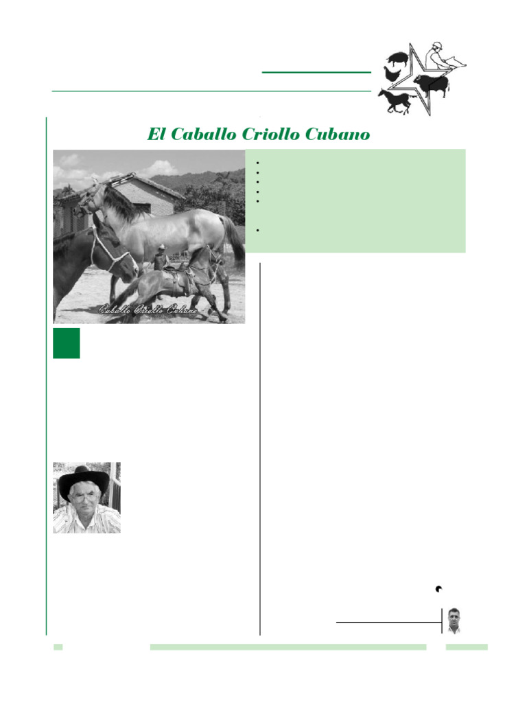Criollo Cubano | PDF | Caballos | Equus (Género)
