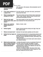 WSET Level 2 Practice Exam Answers | PDF | Wine | Phenolic Content In Wine