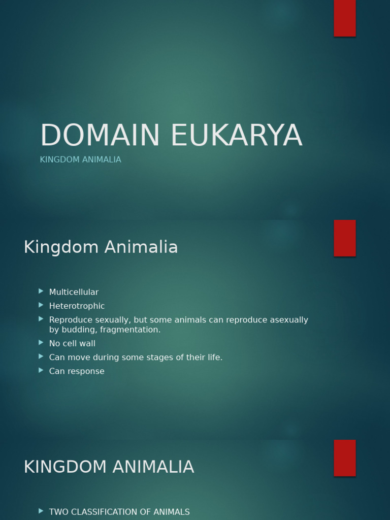 Domain Eukarya - Invertebrates | PDF | Invertebrate | Mammals