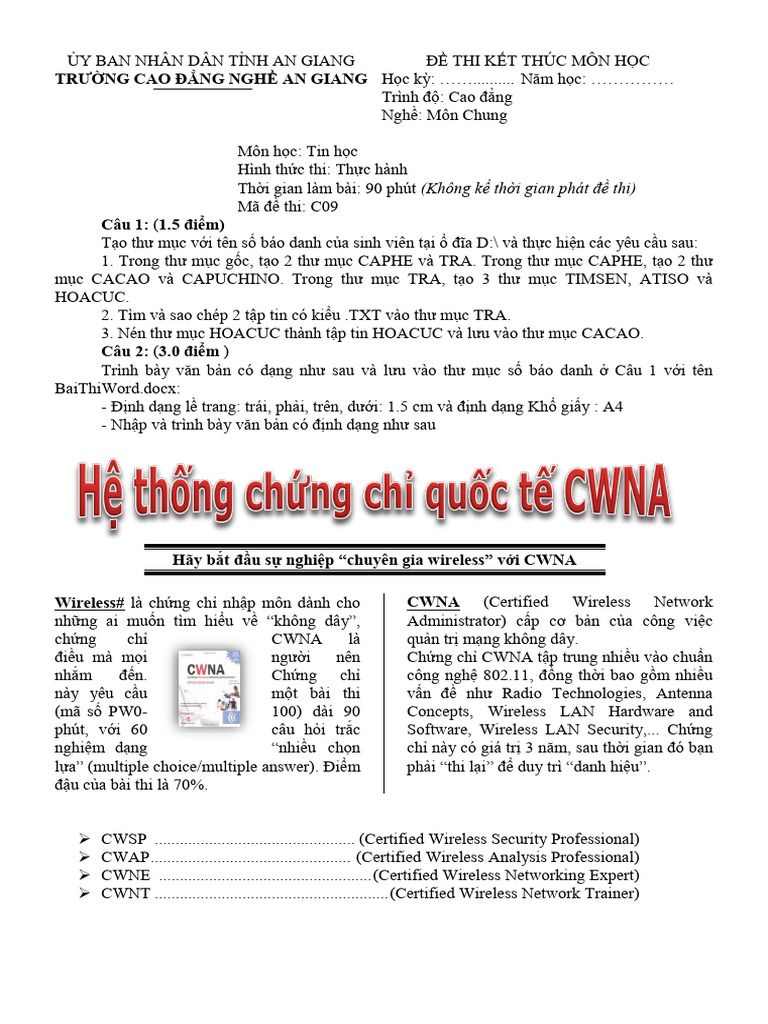 2024 73 C09 Tin học | PDF