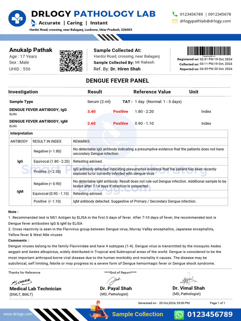 Dengue Fever Test Report Summary | PDF | Elisa | Virus