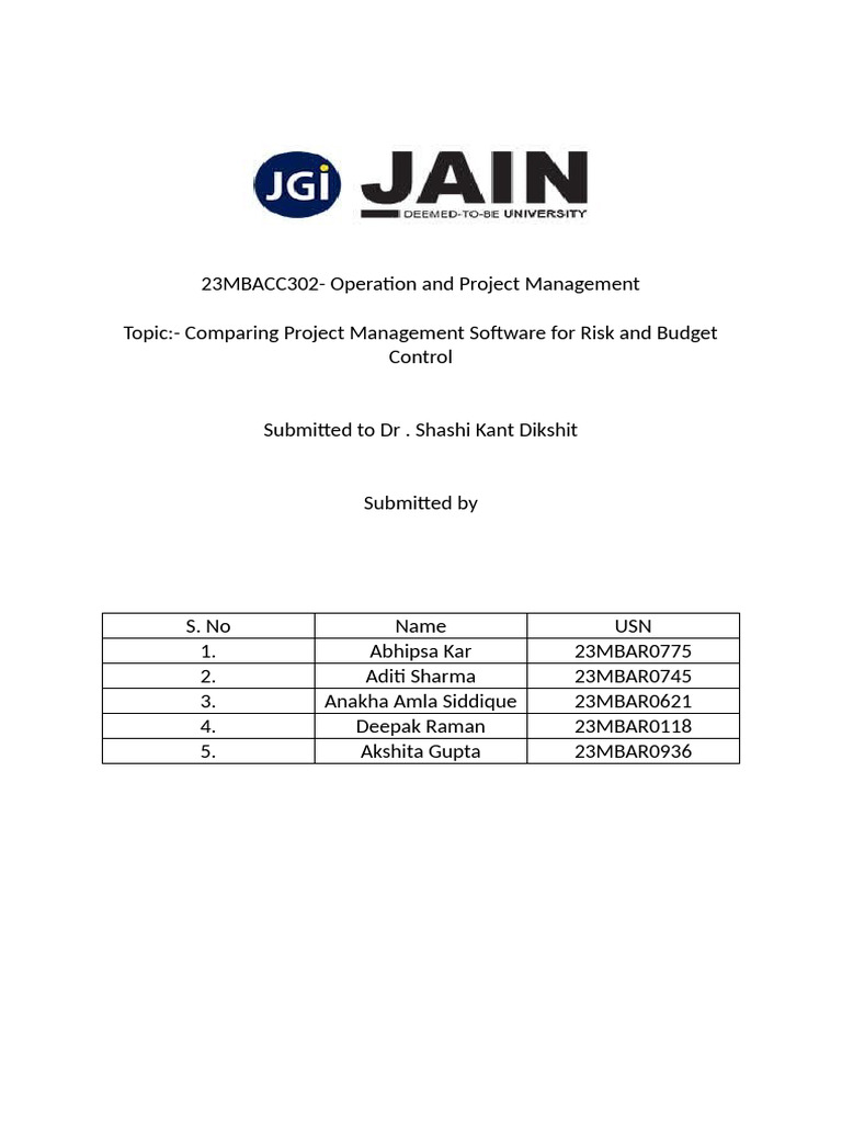 OPM Report | PDF | Project Management | Software