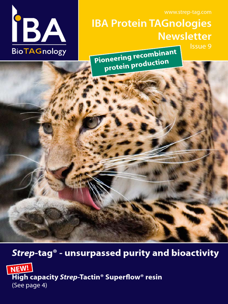 Strep Tag Newsletter 蛋白亲和纯化 | PDF | Protein Purification | Western Blot