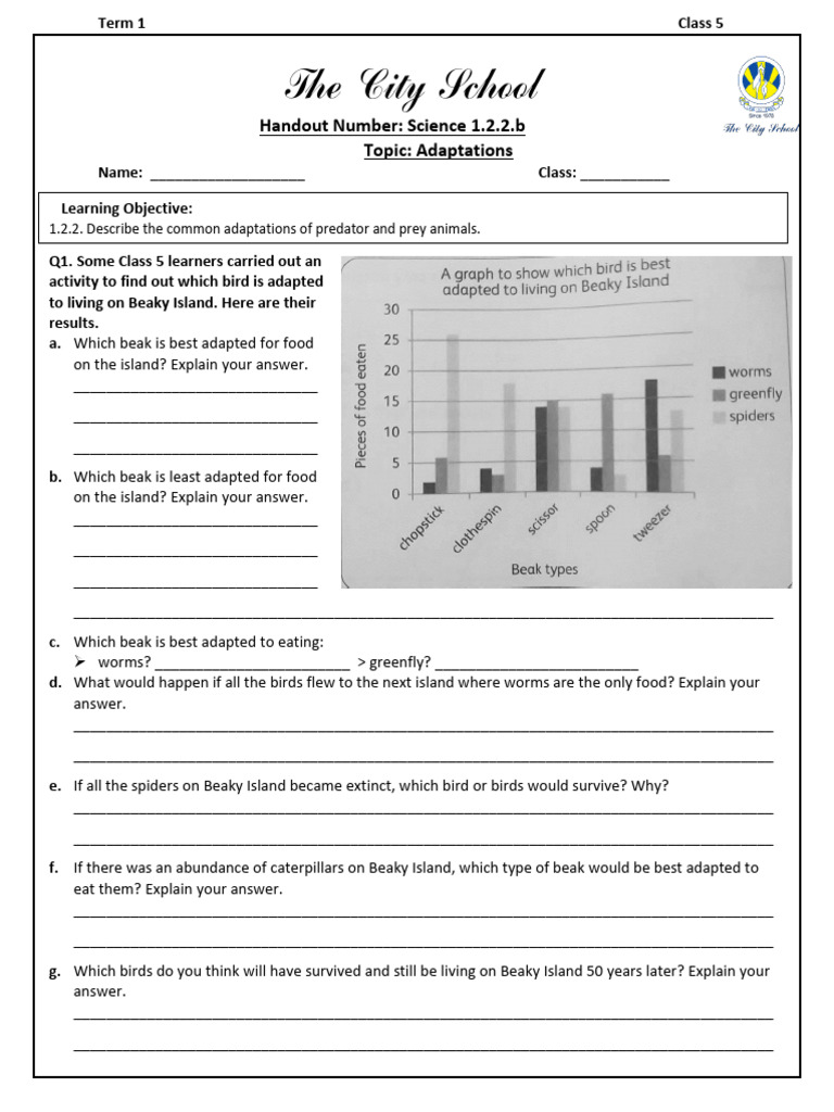 Bird Adaptations Worksheet for Class 5 | PDF