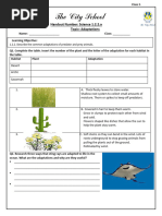 Activity Sheet Where Do Plants Live | PDF | Plants | Habitat