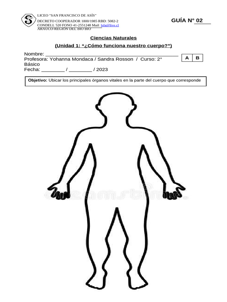 Guía #2 CS, Nat. Cuerpo Humano y Recortables | PDF