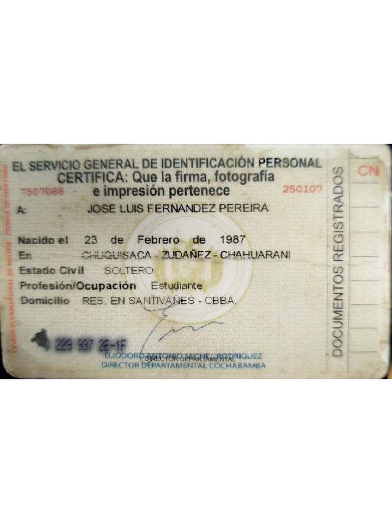 PDF oct 08,2024 | PDF