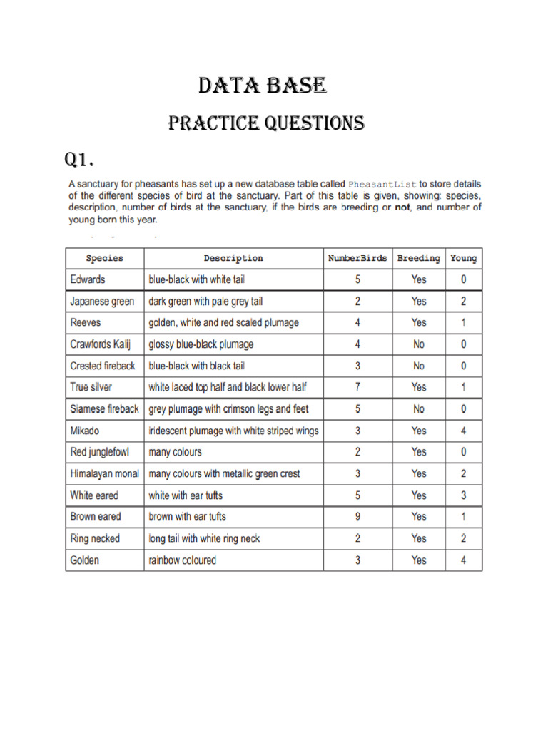Database Pracitse Ques | PDF