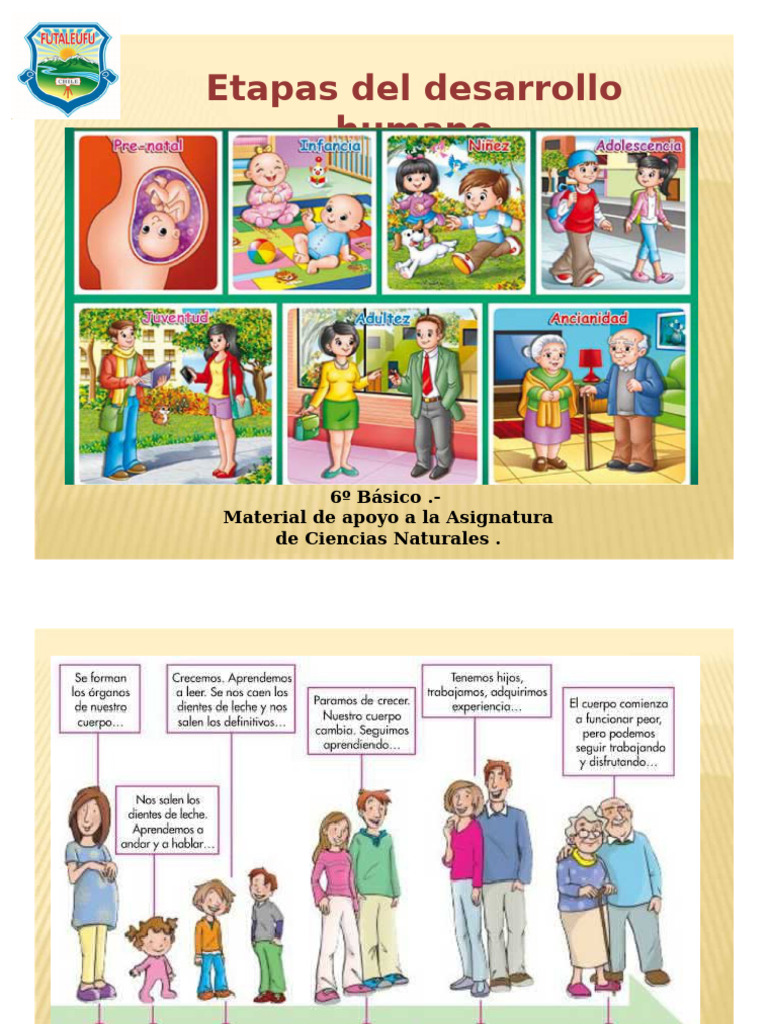 6 CsNat Etapas Del Desarrollo Humano | PDF | Adolescencia | Pubertad