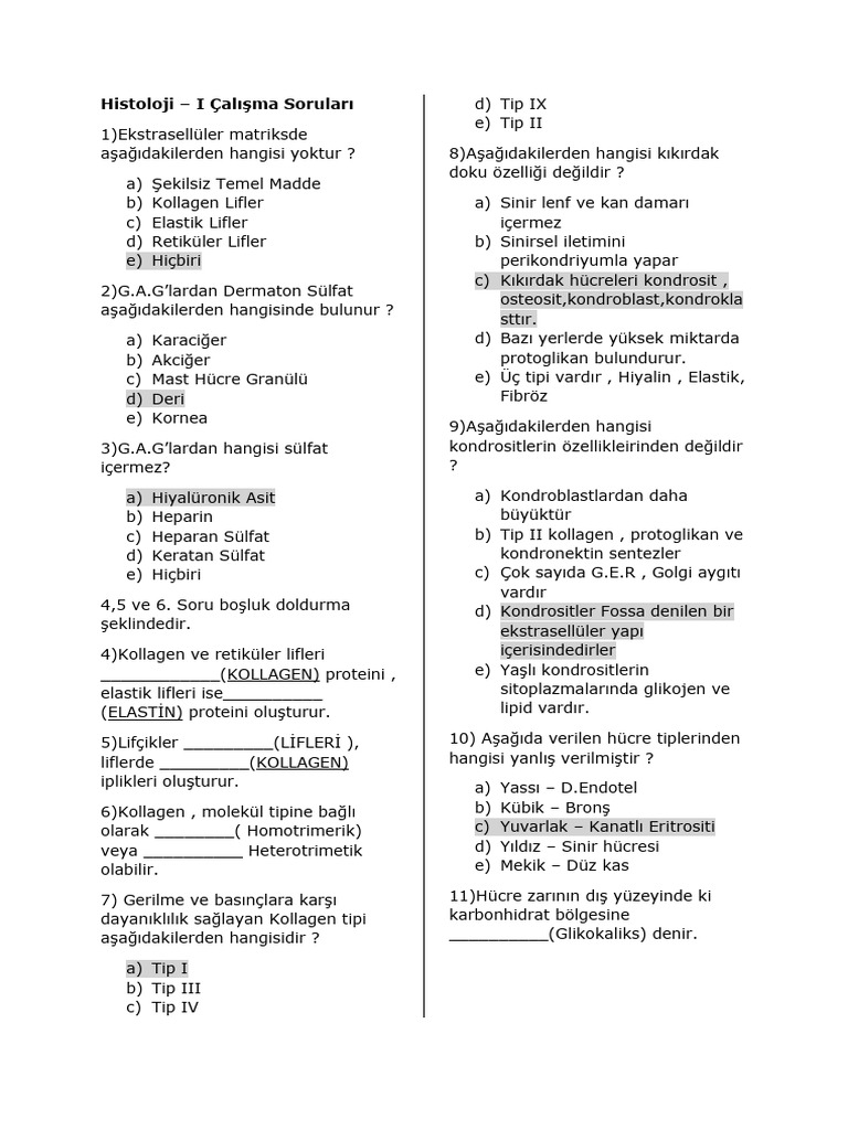 Histoloji Vize | PDF