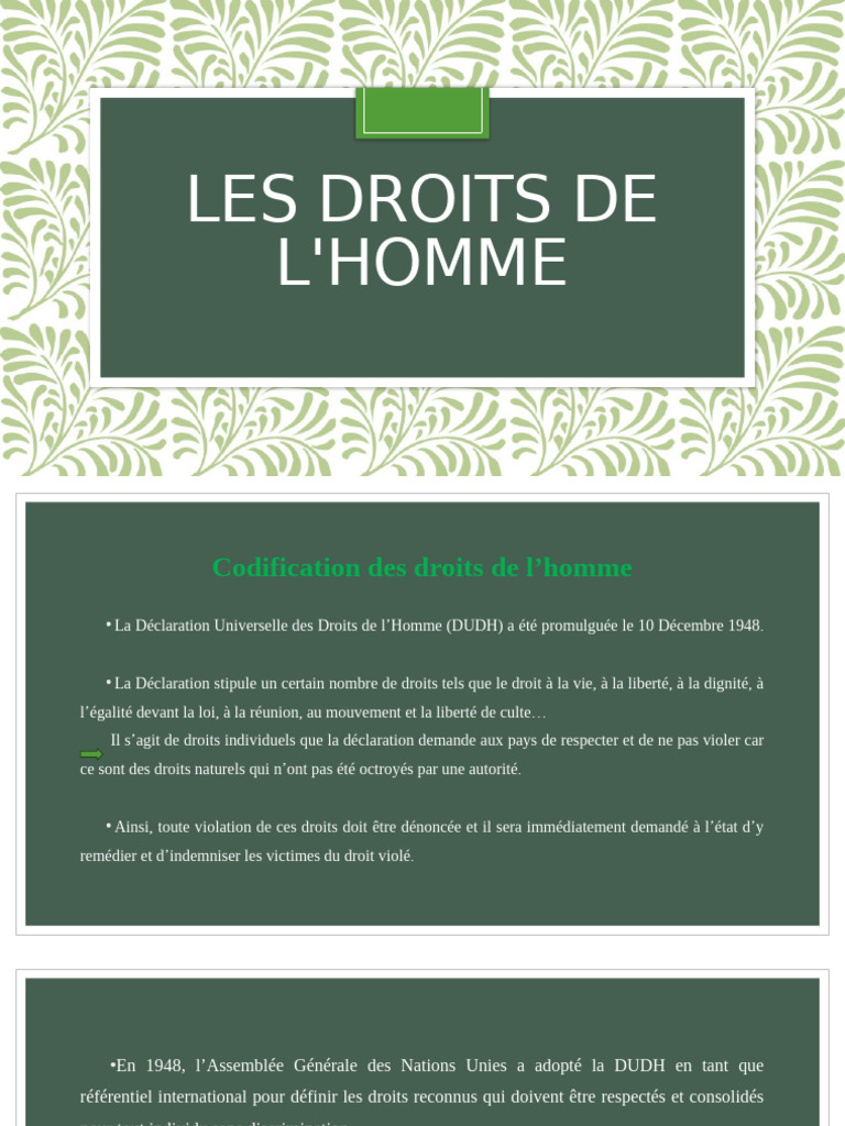 La Déclaration Universelle des Droits de l'Homme | PDF | Droits de l ...