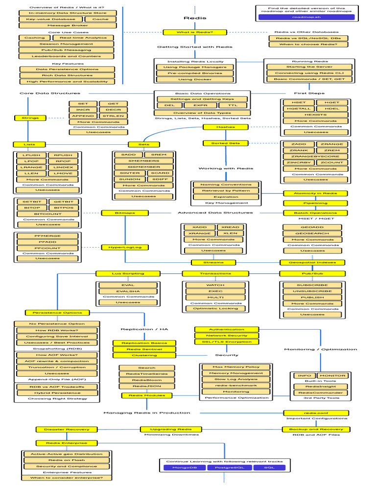 Redis | PDF | Software | Data Management Software