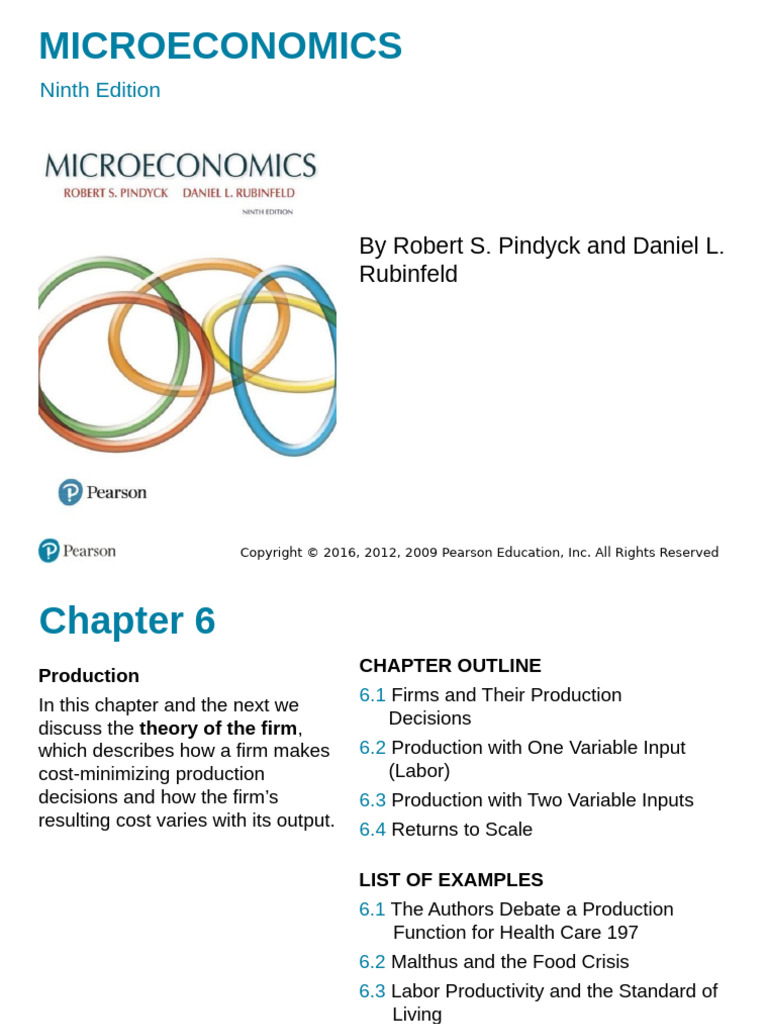 CH 06 PPTaccessible | PDF | Production Function | Labour Economics