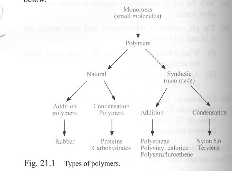 Polymer Classification | PDF