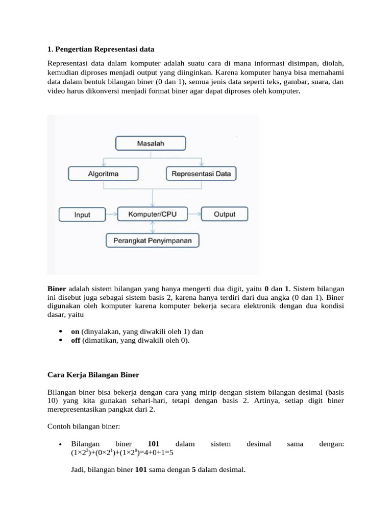 Representasi Data Dalam Komputer | PDF