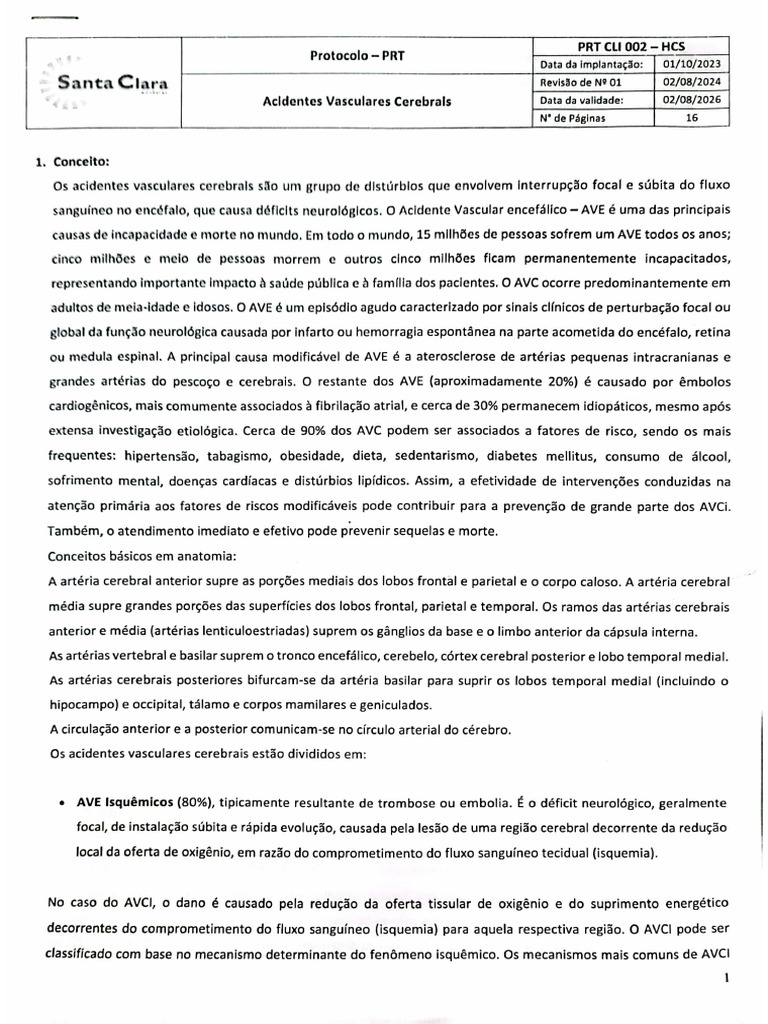 Protocolo 002 - Avc | PDF