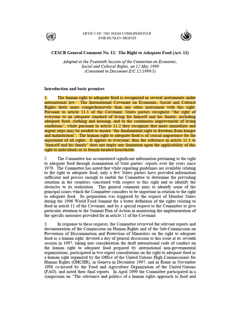 Issue 1 & 2 Resolutions | PDF | Responsibility To Protect | United Nations