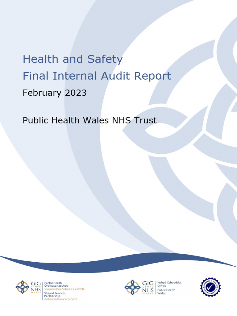 Health and Safety Audit Report 2023 | PDF | Internal Audit | Occupational Safety And Health