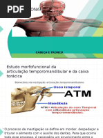Anatomia da Tuberosidade Massetérica | PDF | Tecido macio | Sistema ...