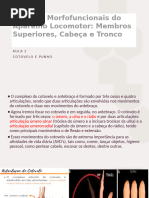 Aula 6 Ossos, Músculos, Inervação e Vascularização Do Punho e Mão | PDF ...