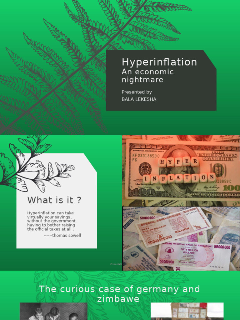 a project | PDF | Inflation | Money