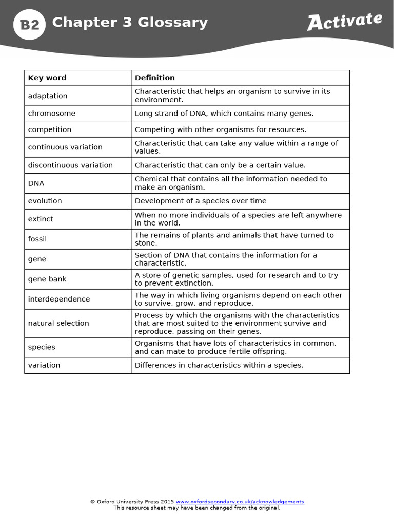 B2 Chapter 3 Glossary | PDF
