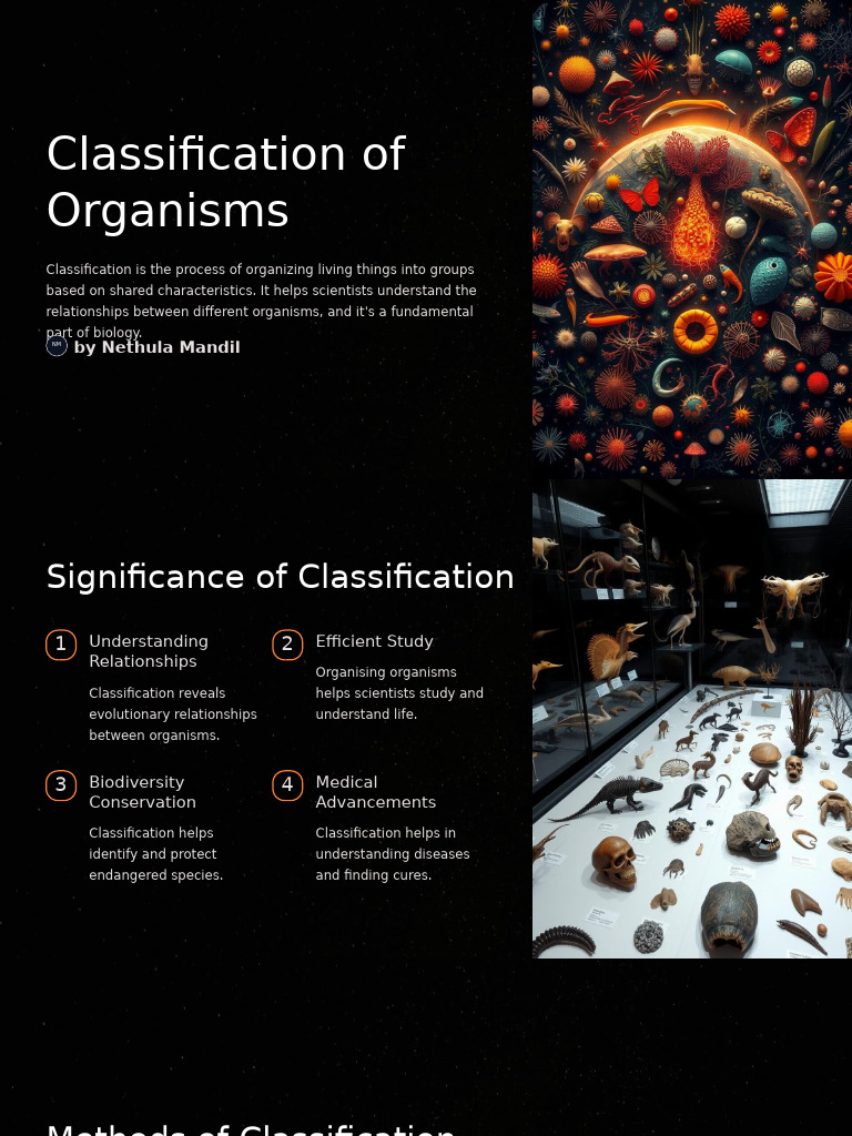Classification of Organisms | PDF | Eukaryotes | Nature