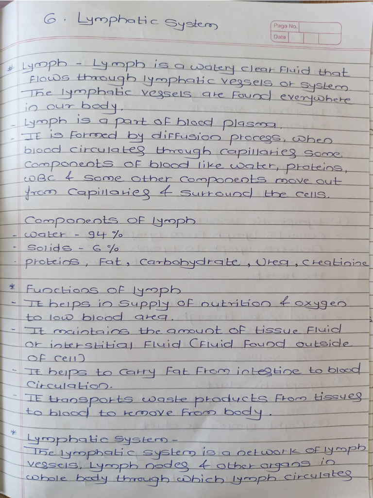 Lymphatic System Pdf