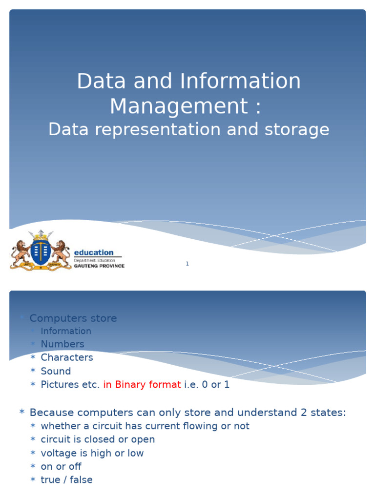 Data Representation And Storage Pdf Integer Computer Science