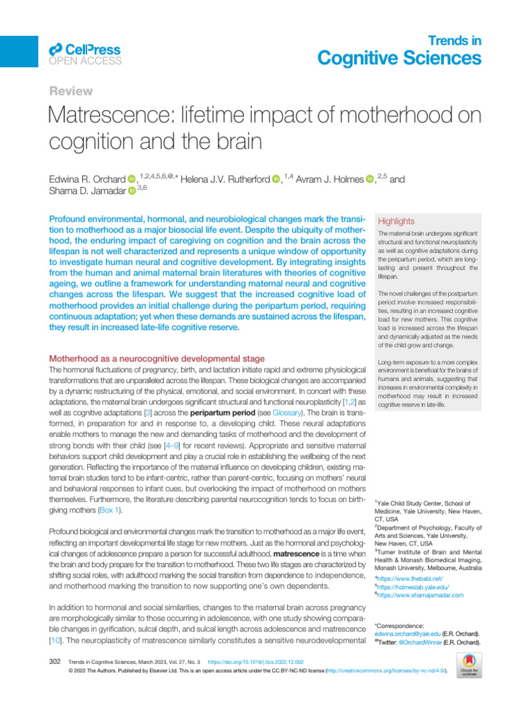 Matrescence: Brain Changes in Motherhood | PDF | Hippocampus | Pregnancy
