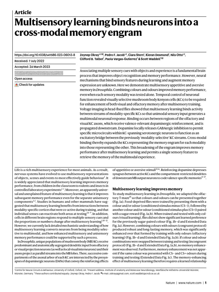 2023, Multisensory Learning Binds Neurons Into A Cross-Modal Memory Engram, Nature | PDF ...