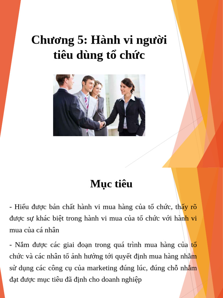 Chương 5 Hành Vi C A Ngư I Tiêu Dùng T CH C | PDF