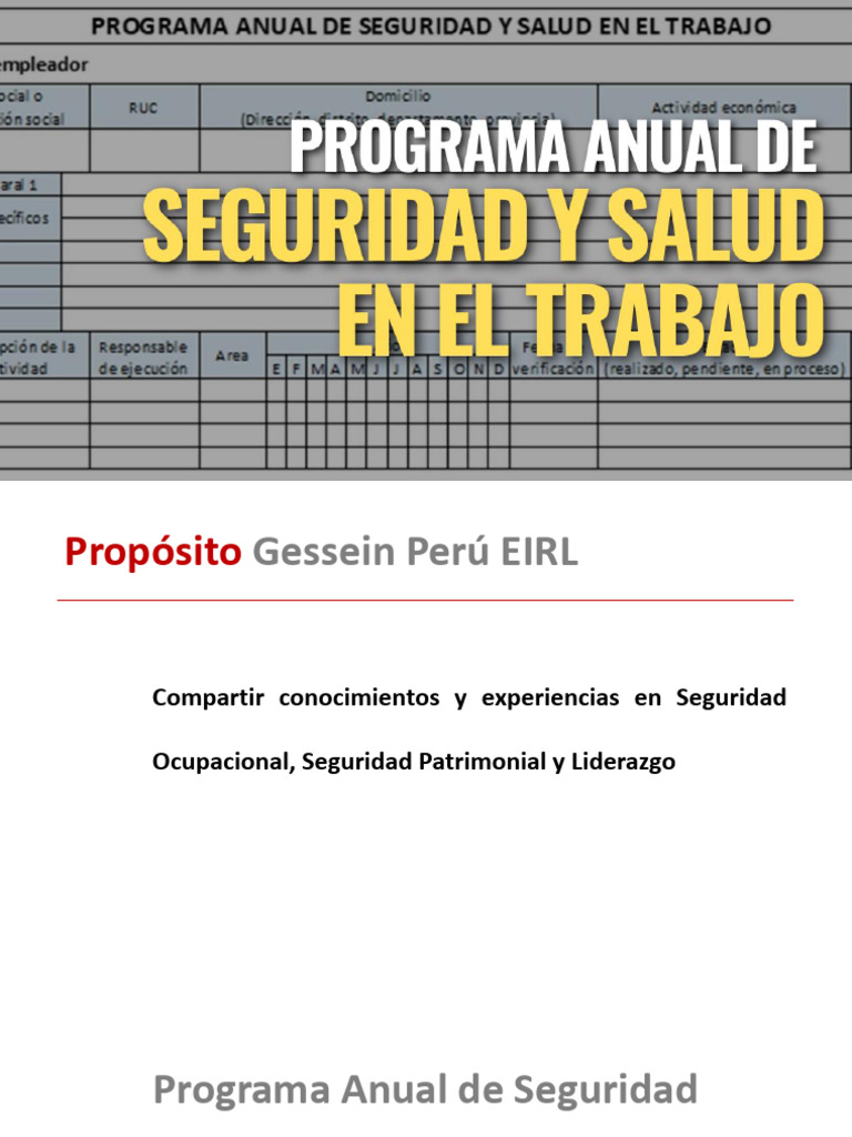 Programa Anual de Seguridad Y Salud en El Trabajo | PDF | Programa de computadora | Programación
